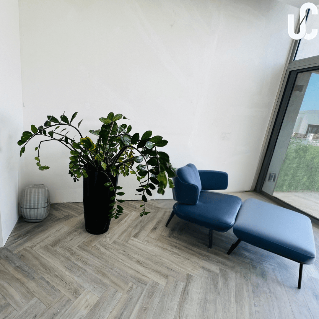 PROJECTS - Urban Connect